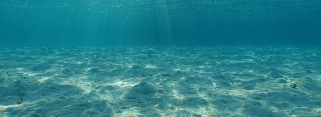 Venterra announces acquisition of Oceanscan | GDG Engineering Innovation